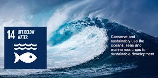 Life Below Water: The UN's Sustainable Development Goal #14 ...
